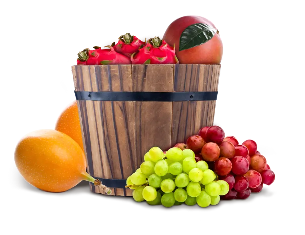 Productos - Pimanfruit